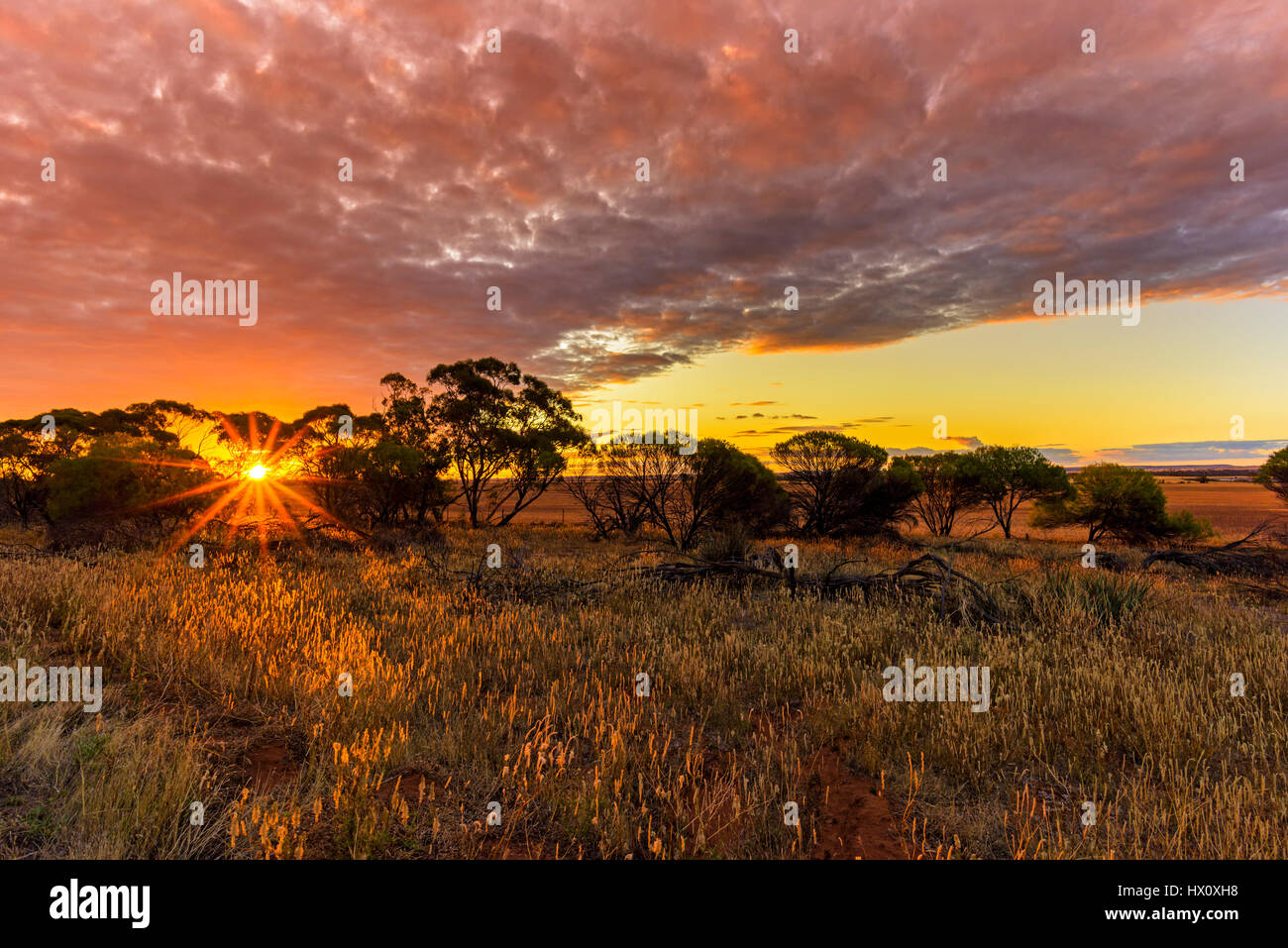 Australian Outback Sunset
