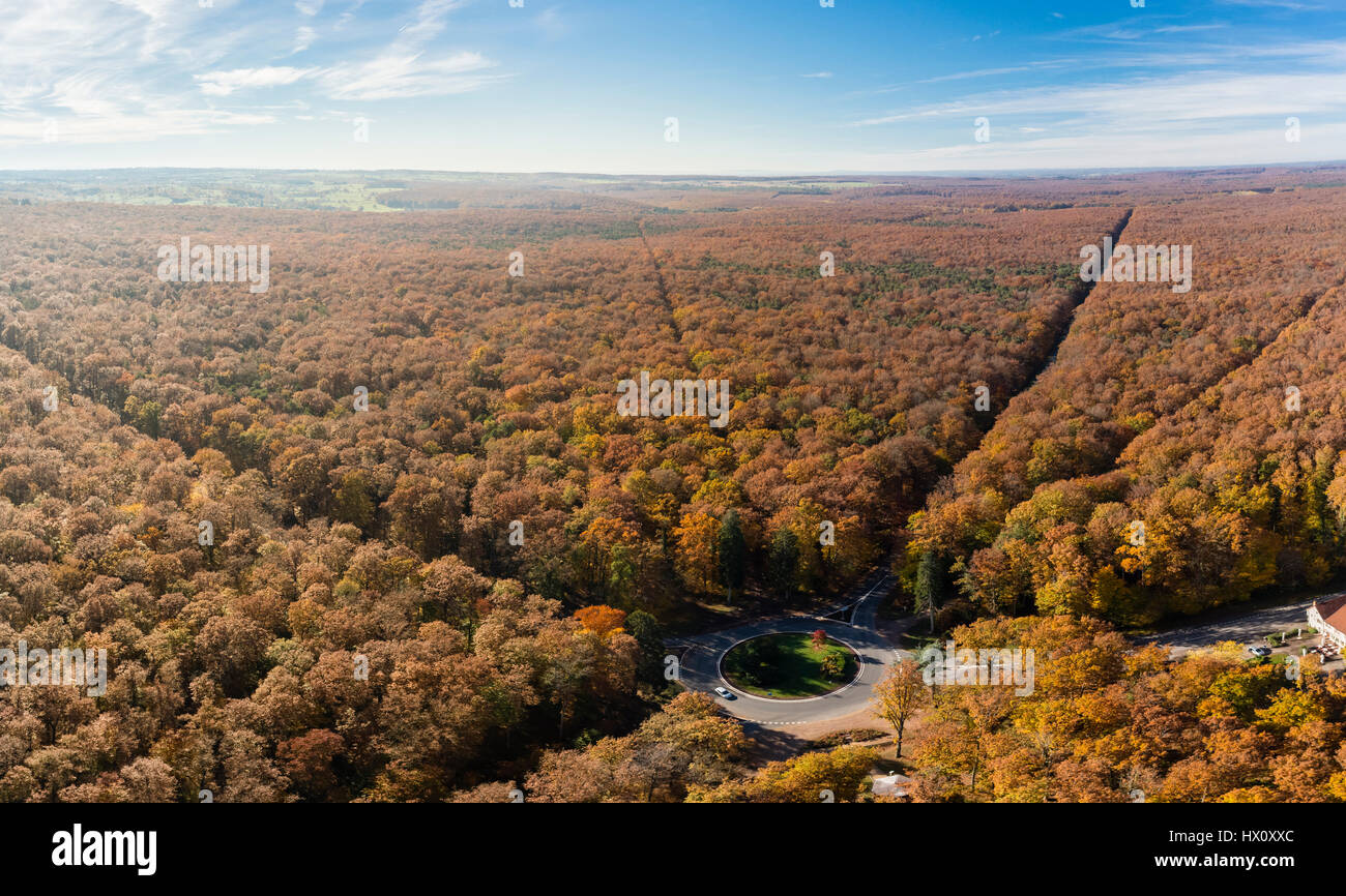 Aerial of forest roads hi-res stock photography and images - Alamy