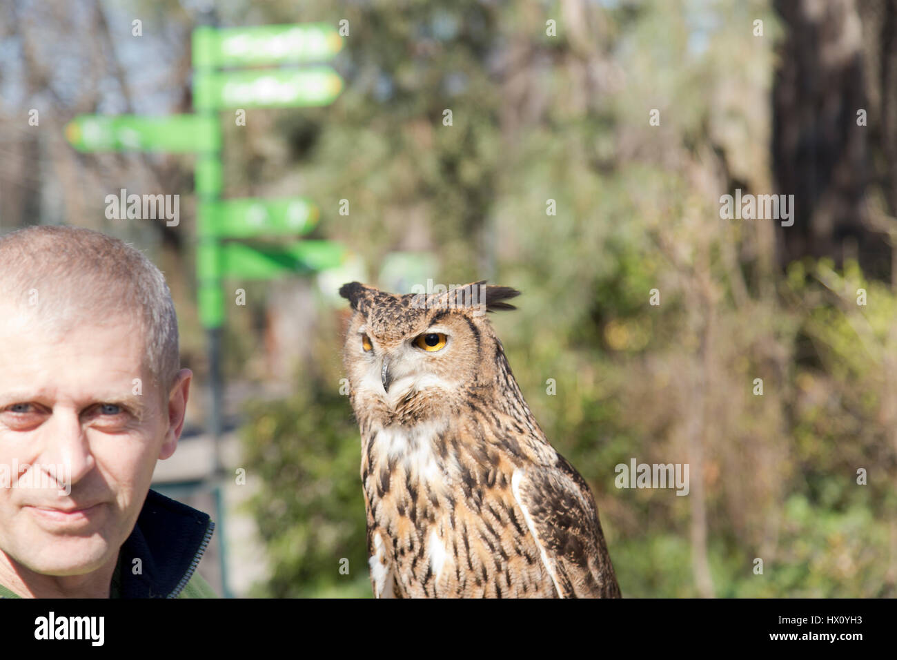 A Brown Owl and his handler in Budapest Zoo Hungary Stock Photo - Alamy