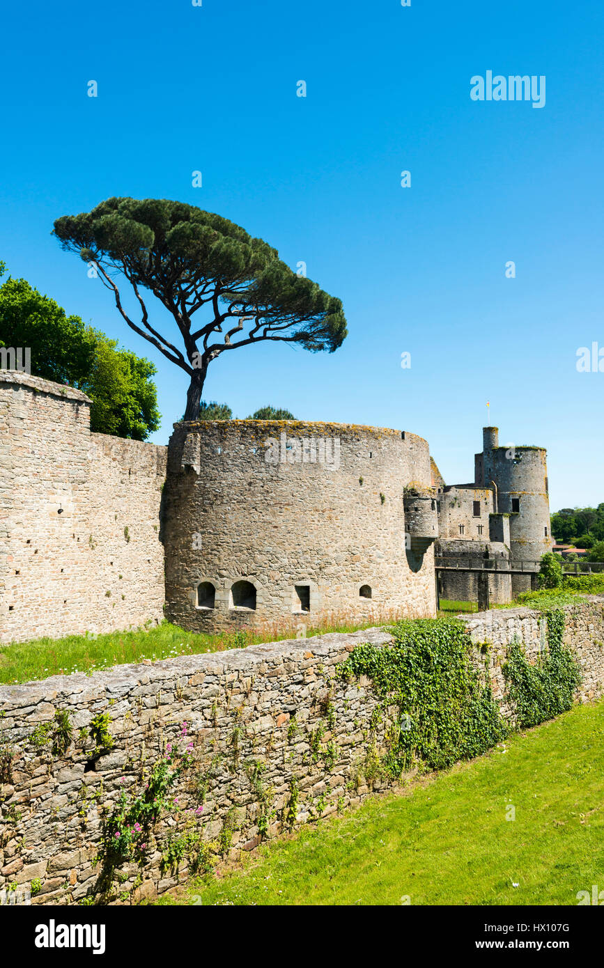 Clisson (north-western France): the castle Stock Photo - Alamy