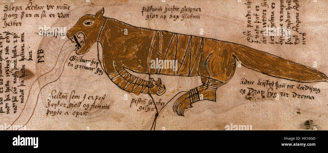 The image of Fenrir bound in a manuscript depicts the mythical Norse ...