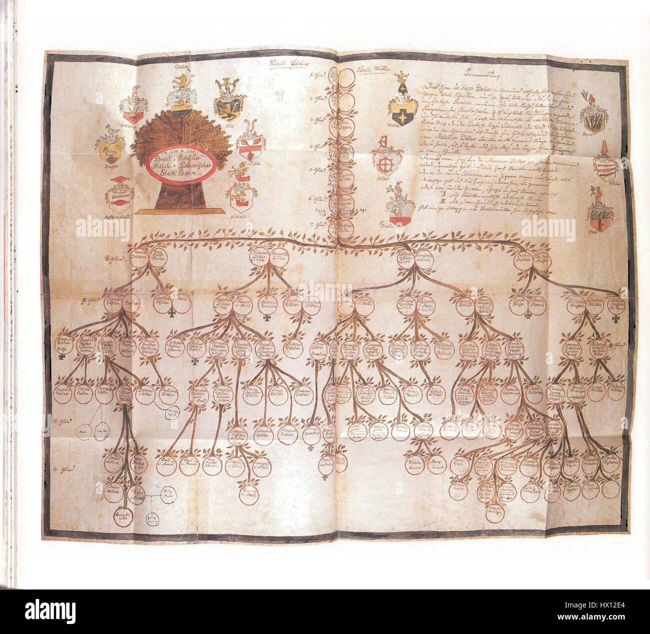 Family tree documentation hi-res stock photography and images - Alamy