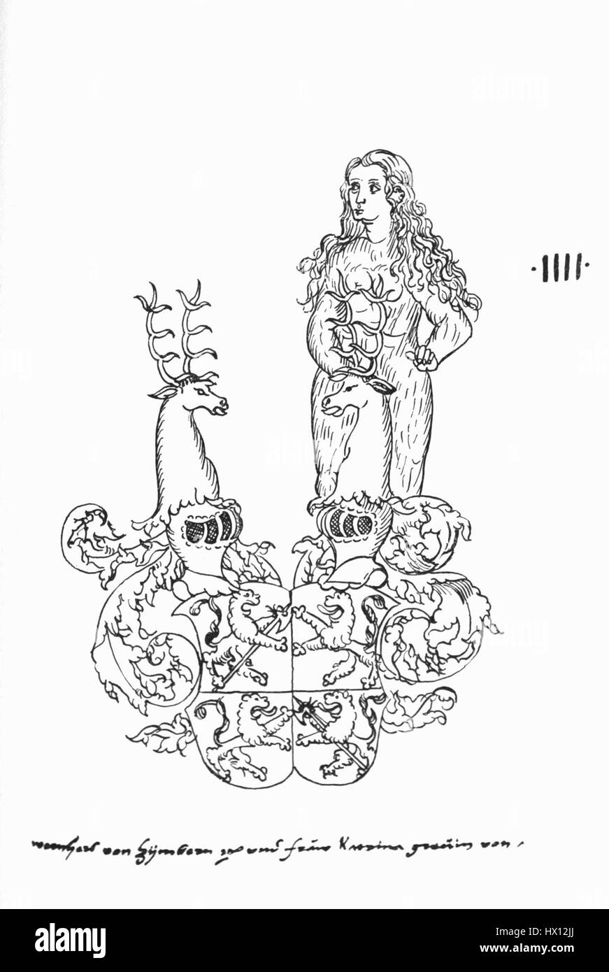 'DH2 313 Barbara' is a technical illustration or model reference ...
