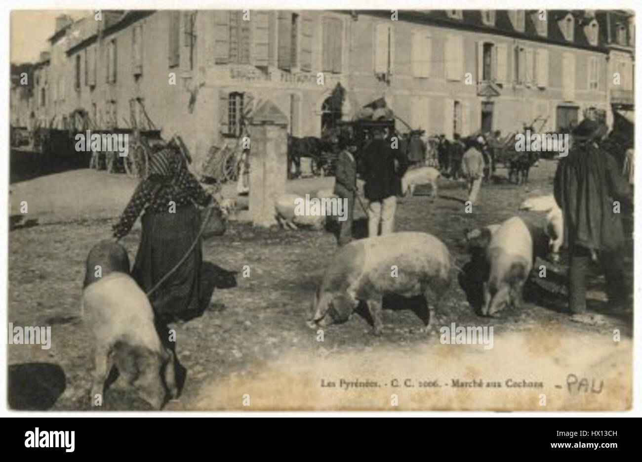 'Euskal txerriak Paben (2)' is a photograph capturing Basque pigs in a ...