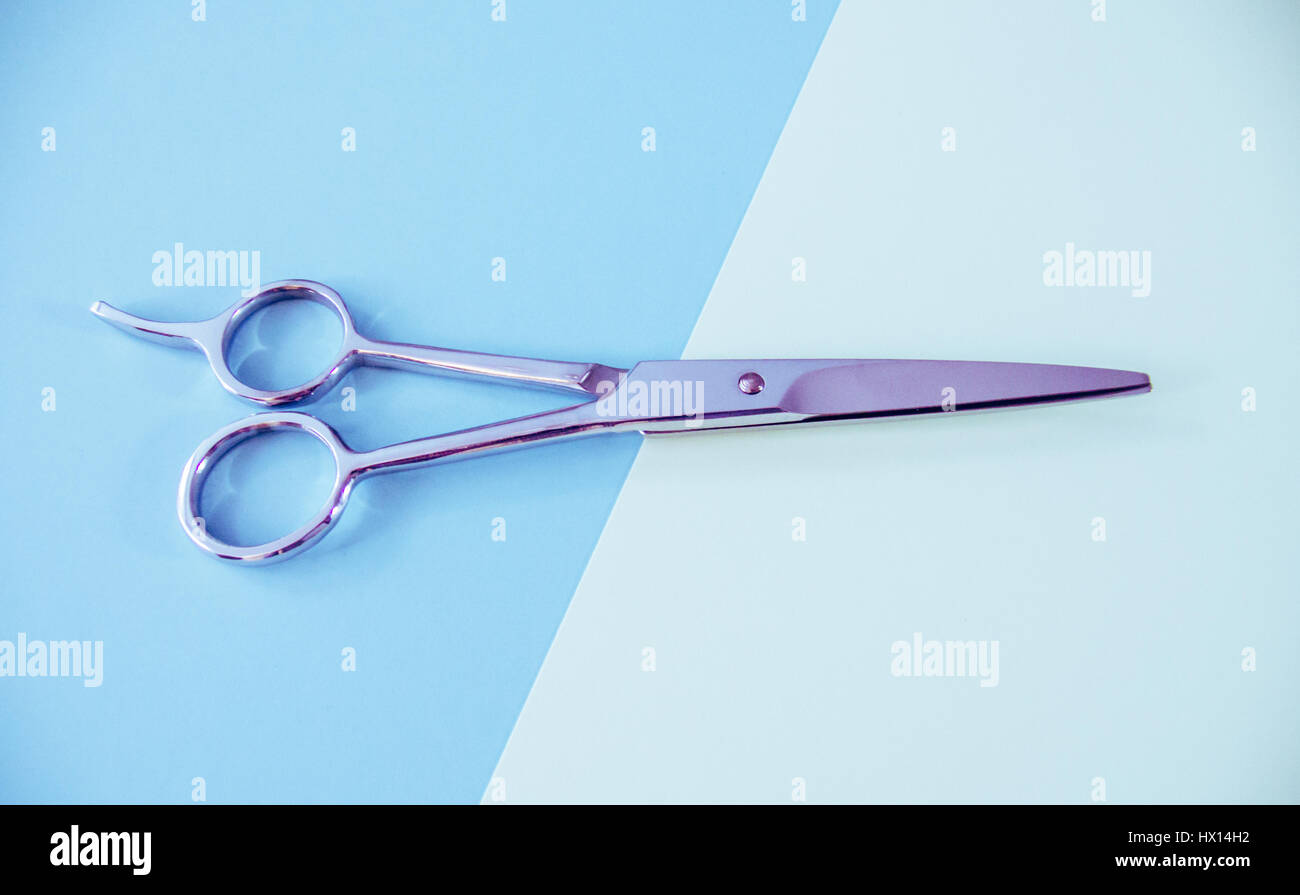 Professional haircutting scissors on a colorful pastel background Stock ...
