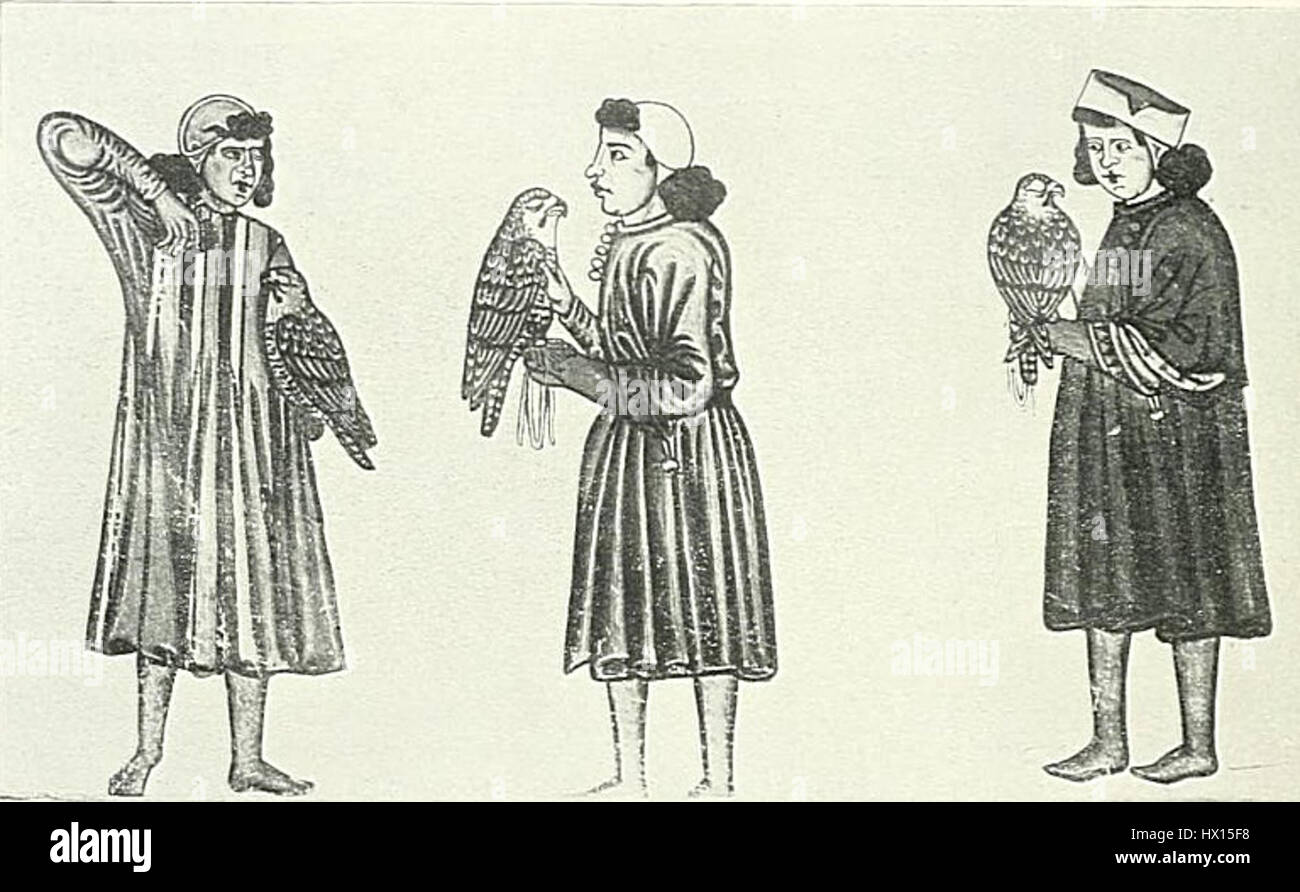 Falk refers to an individual or a work related to someone named Falk ...