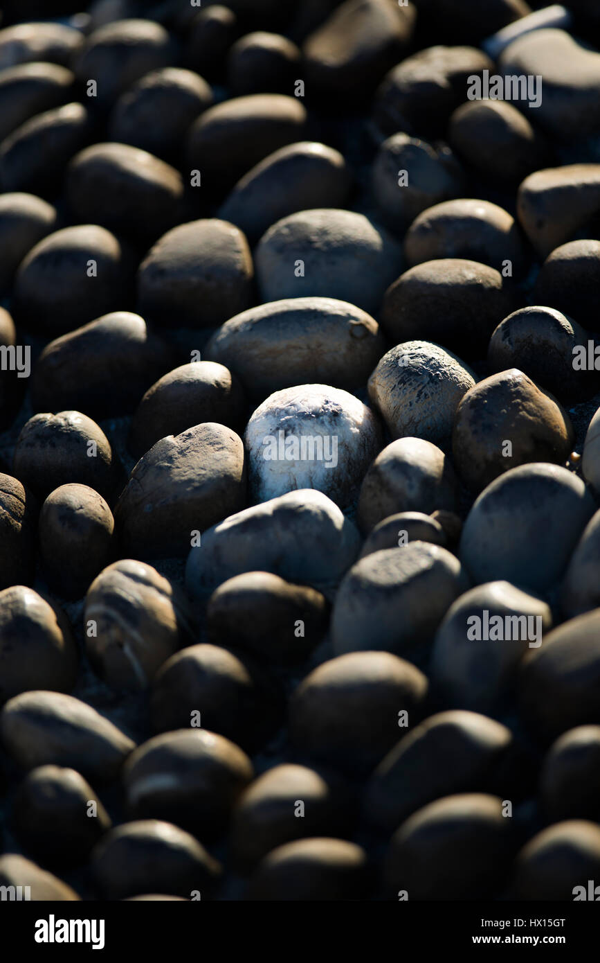 typical ligurian stone pavement for the parvis Stock Photo - Alamy