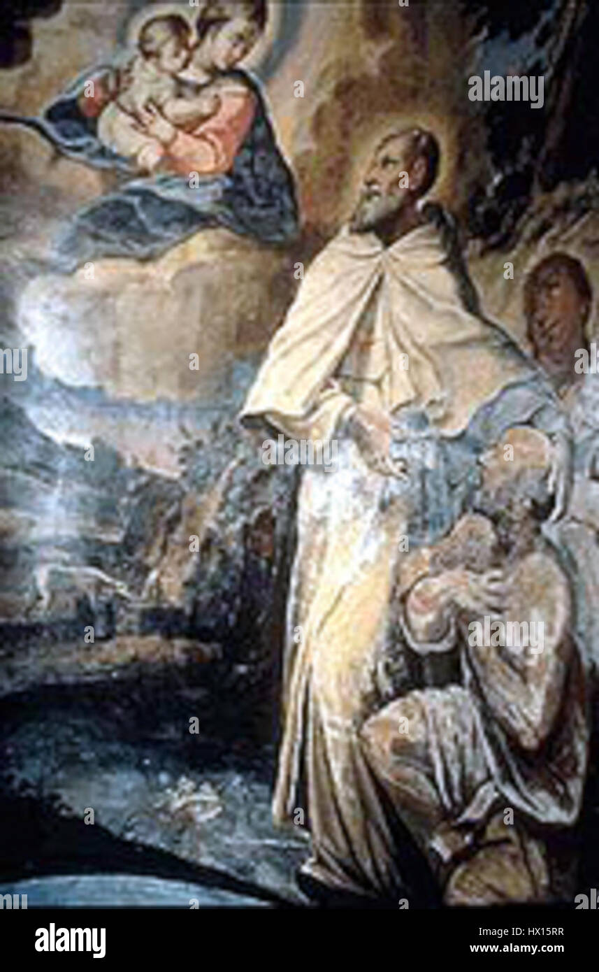 Falix valois palomino Stock Photo - Alamy