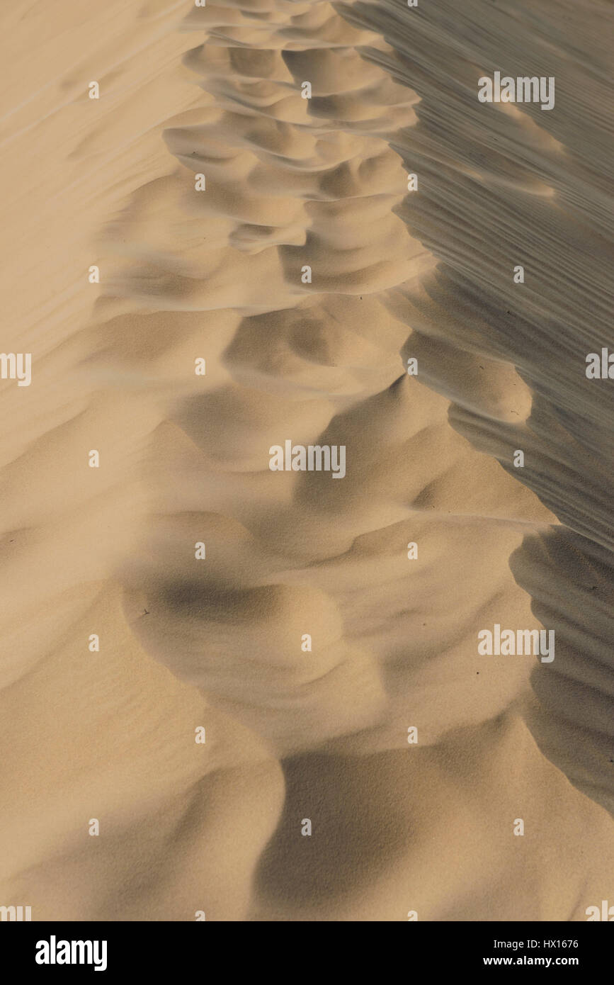 Brown sand texture on the dunes of the desert Stock Photo - Alamy