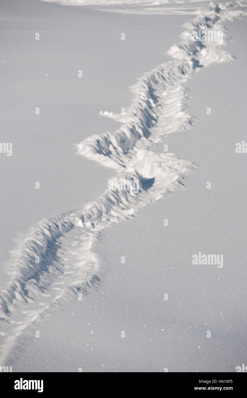 long trace on the snow in the alps Stock Photo - Alamy
