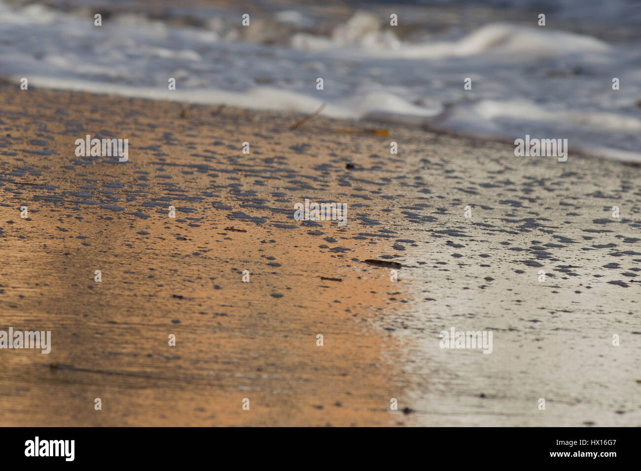 Golden reflection near the coming wave on a sunny sandy beach Stock ...