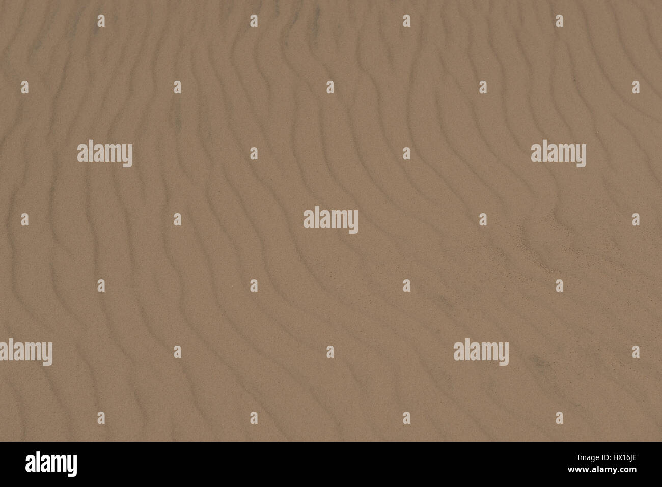 Brown sand texture on the dunes of the desert Stock Photo - Alamy