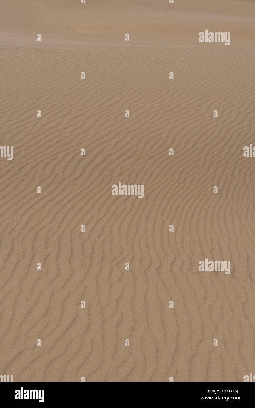 Brown sand texture on the dunes of the desert Stock Photo - Alamy