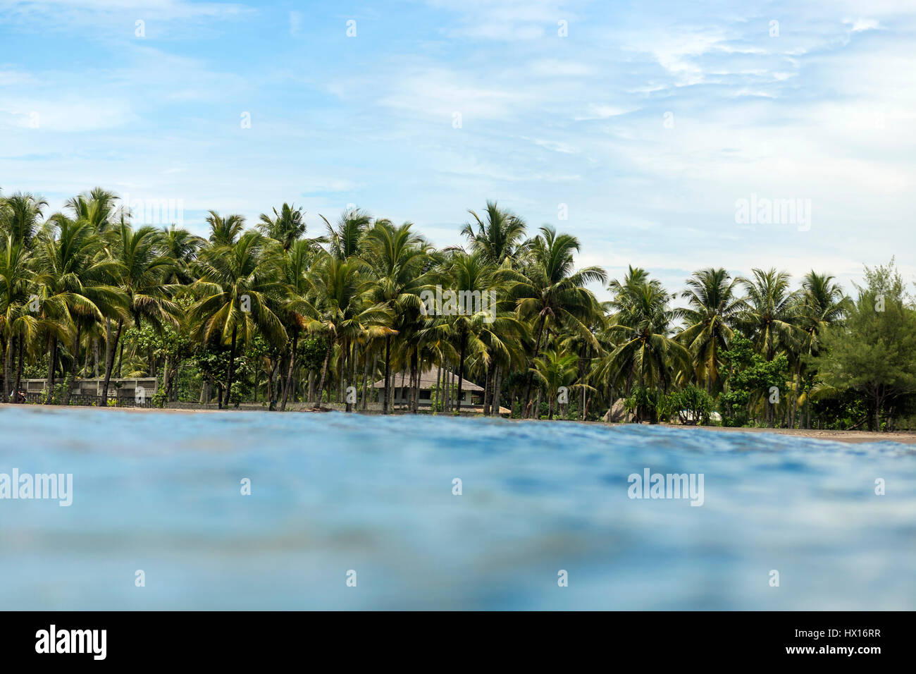 Indonesia, Java, coastline with palms seen from the ocean Stock Photo ...