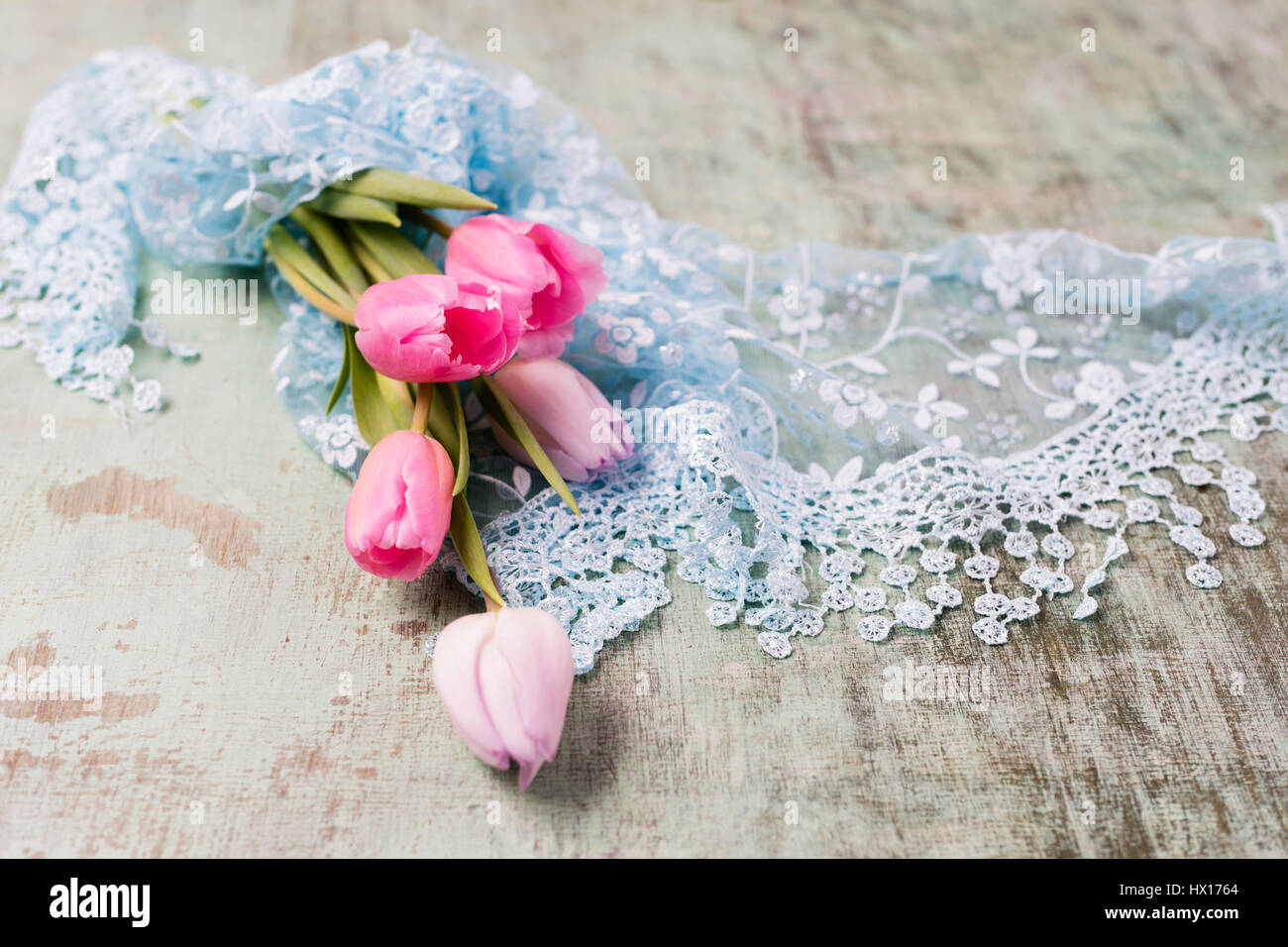 Pink lace tulip hi-res stock photography and images - Alamy