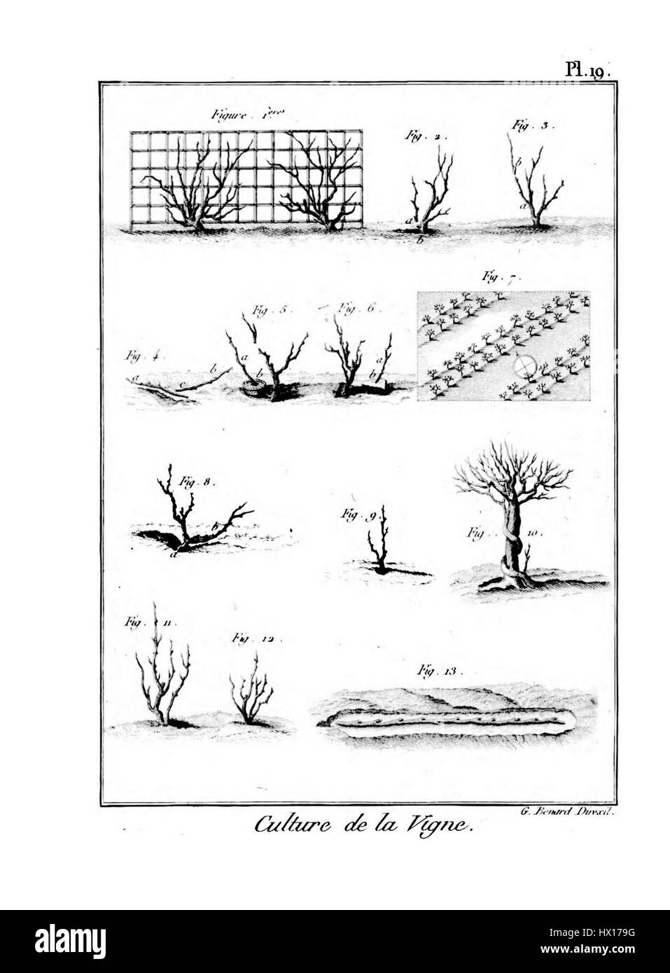 Illustrations of agricultural tools Black and White Stock Photos ...