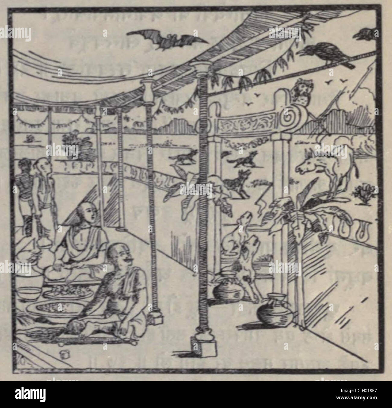'Donkeys roaring' captures an unusual, metaphorical portrayal of ...