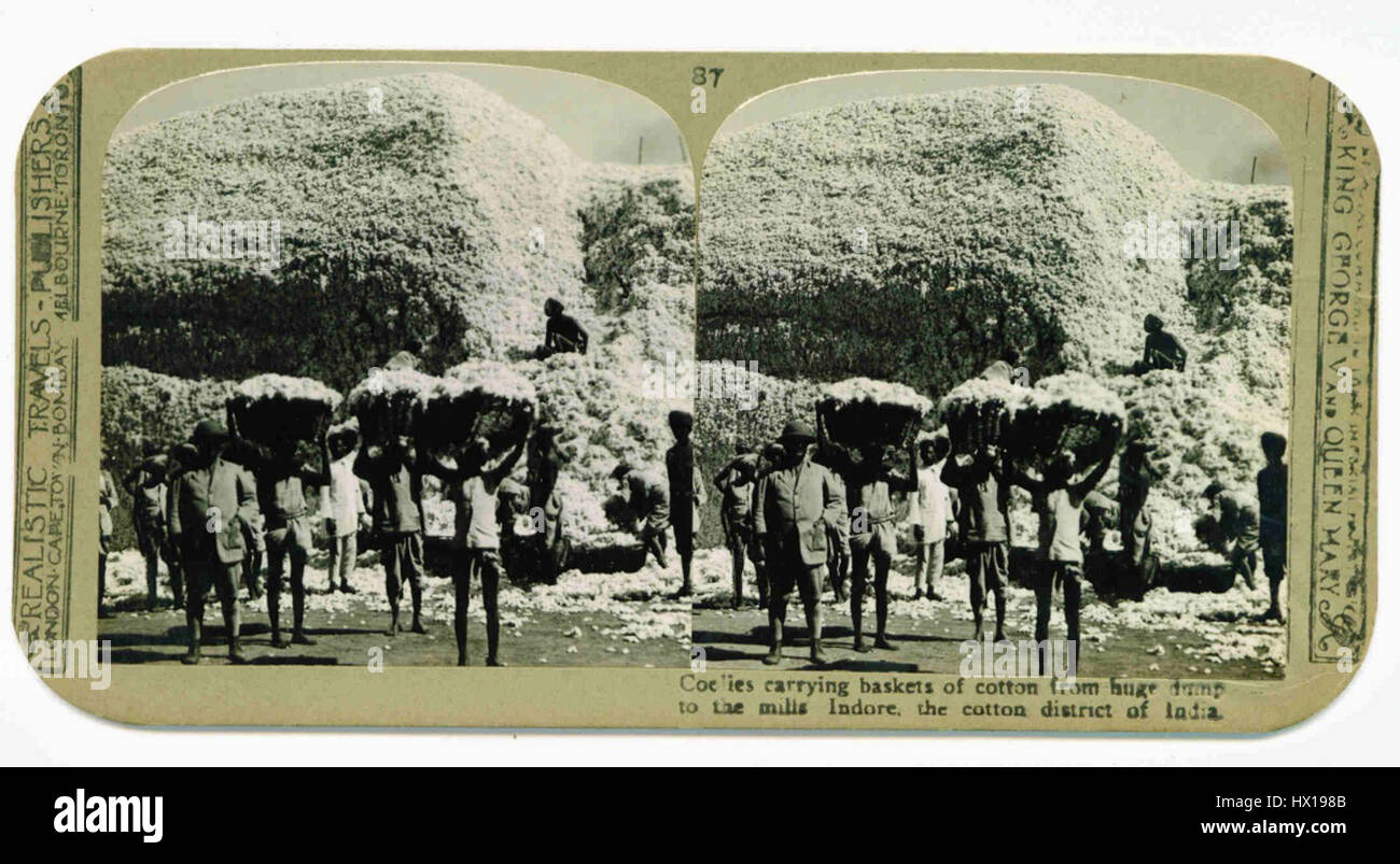 This image depicts coolies, laborers, carrying baskets of cotton from a ...