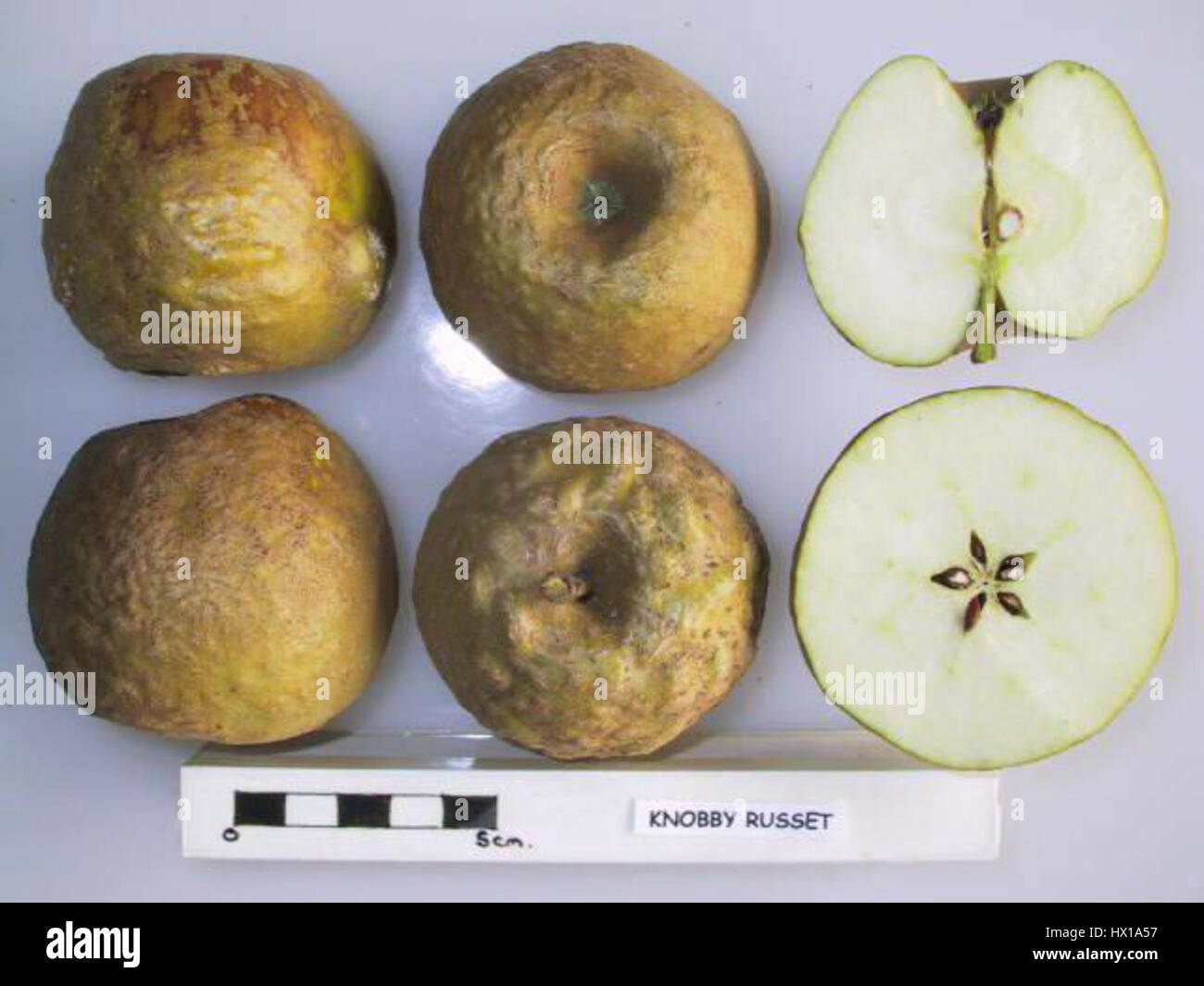 Frs 1 hi-res stock photography and images - Alamy