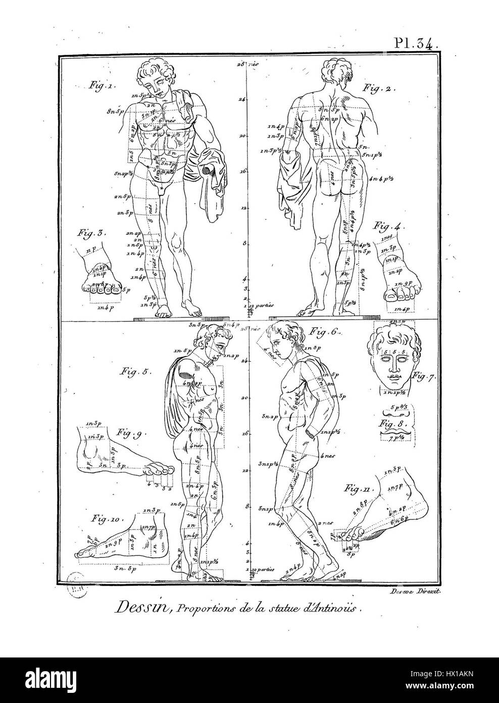 Classification collection Cut Out Stock Images & Pictures - Alamy