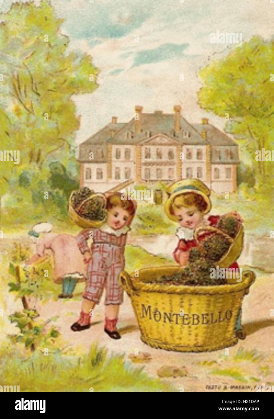 The *Dessin Montebello* showcases a detailed sketch from the Montebello ...