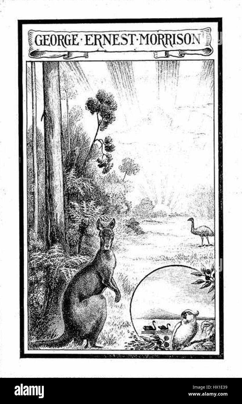 Personal collections Cut Out Stock Images & Pictures - Alamy