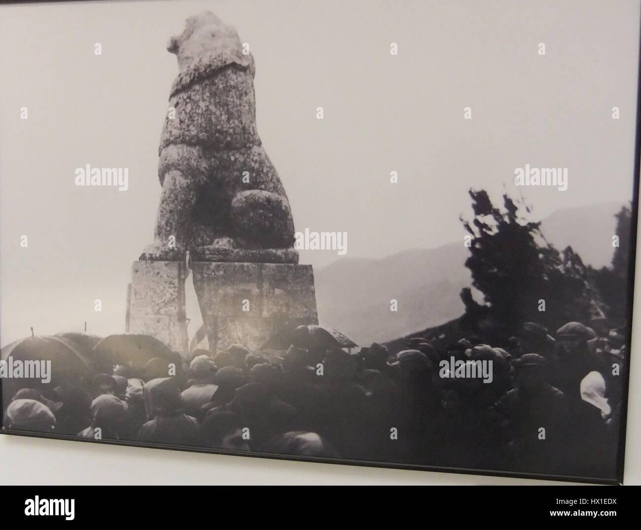 The 'Dedicationday37' could represent a specific event or celebration ...