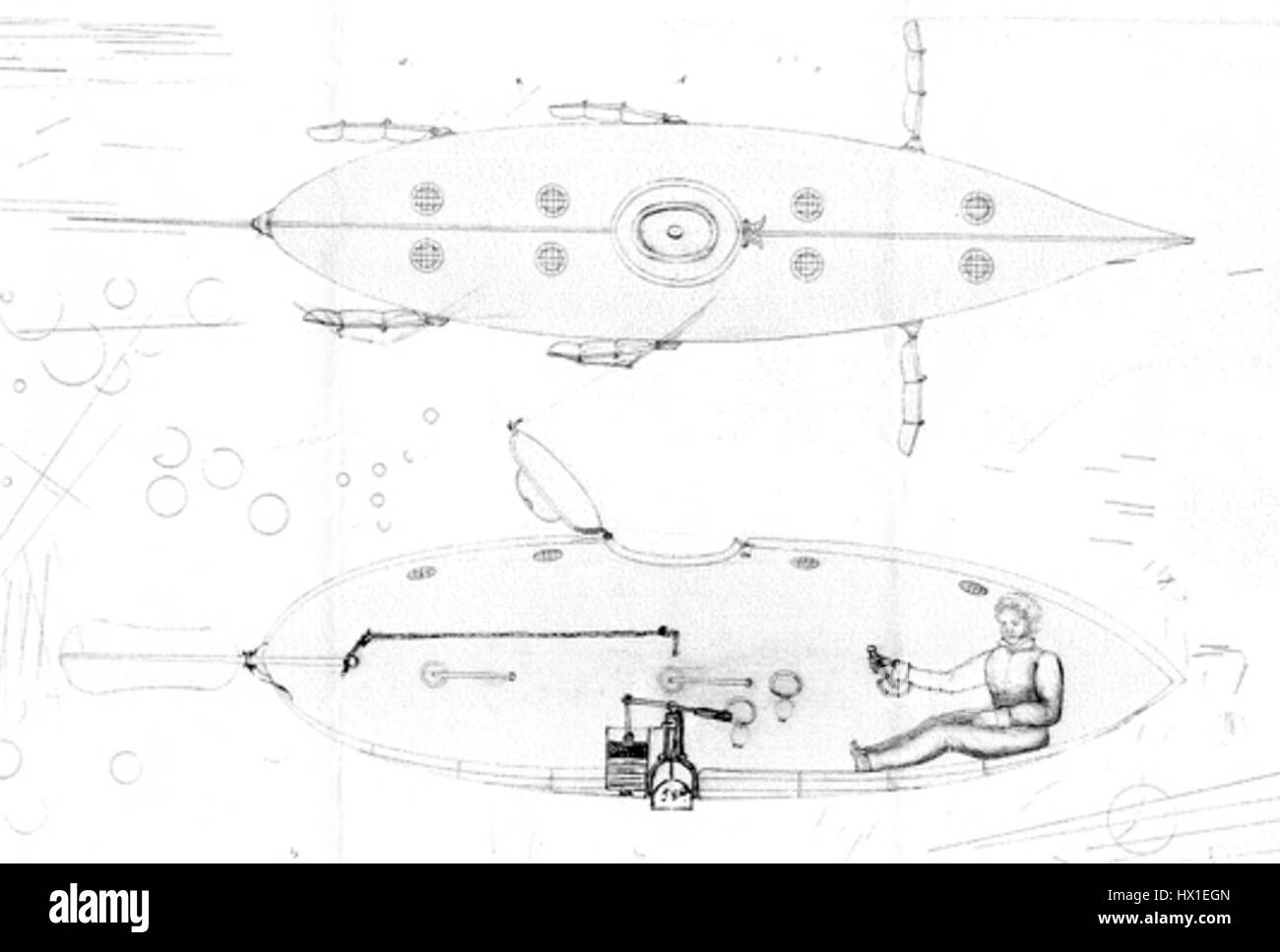 'Water Bug' by De Villeroi is a detailed illustration of a water bug ...