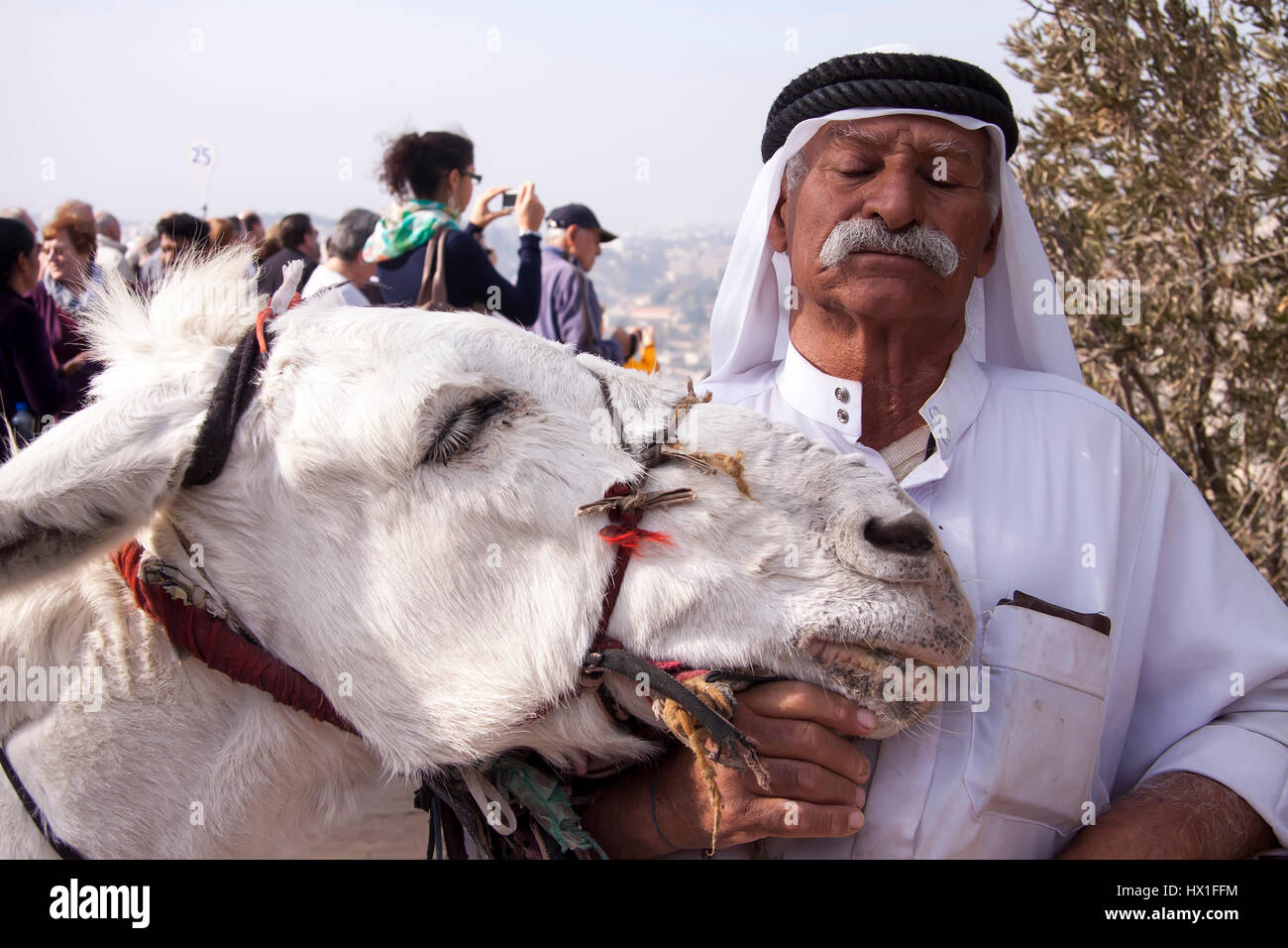 Man with Donkey Stock Photo - Alamy