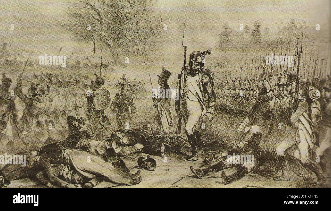 'Fanteria di linea' refers to the line infantry, a historical military ...