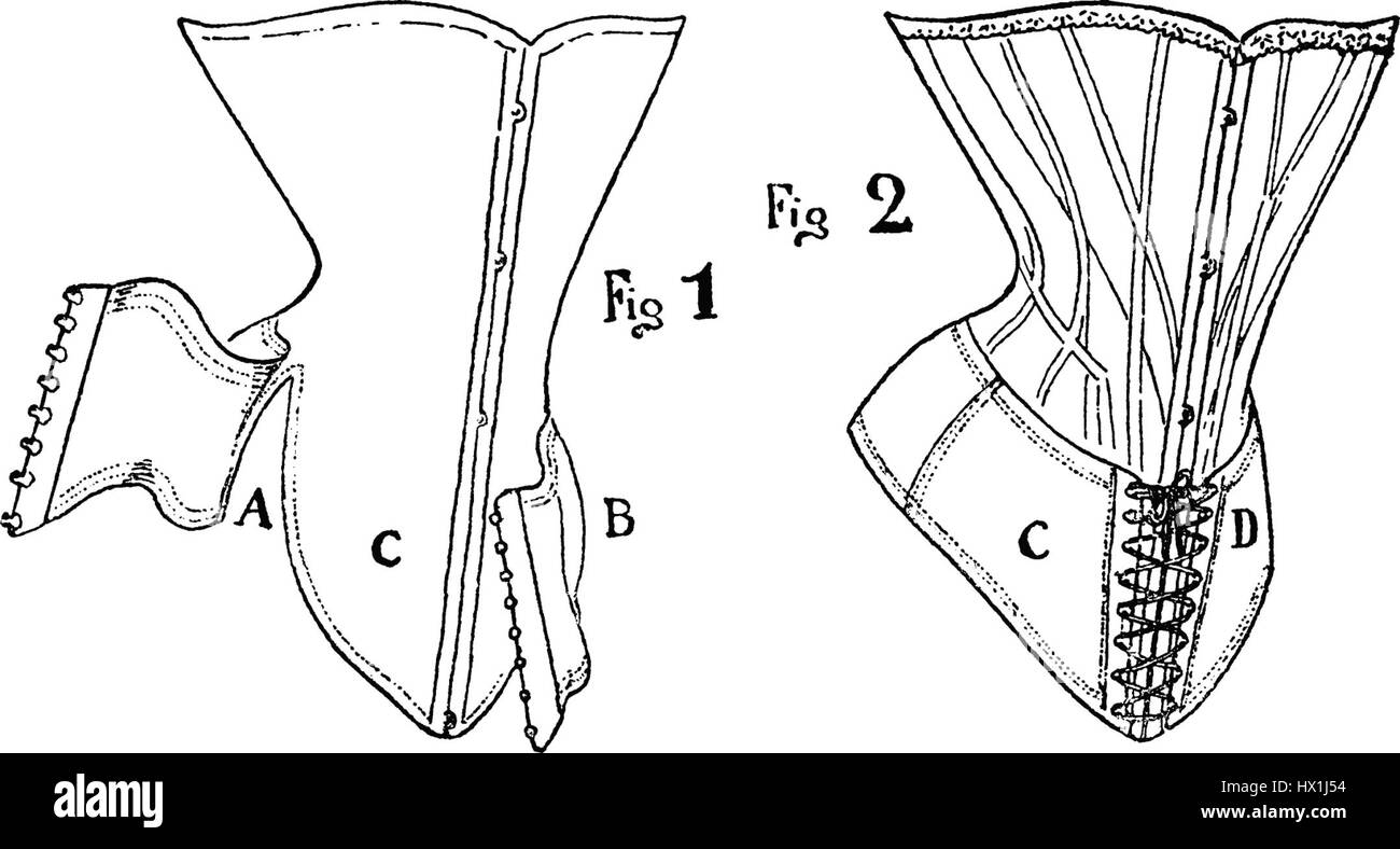 Corset structure Black and White Stock Photos & Images - Alamy