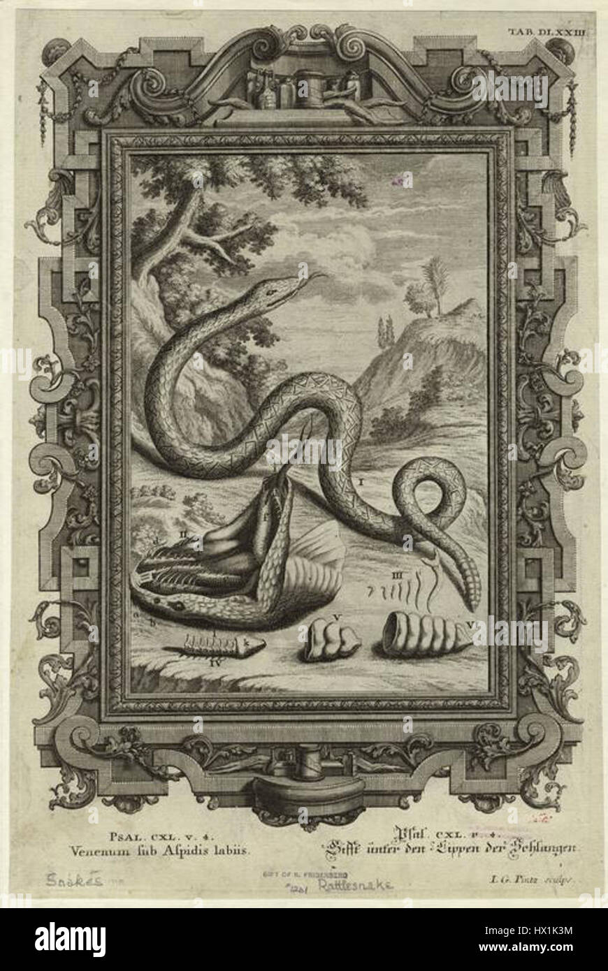 'Gifte unter den Lippen der Schlangen' translates to 'Poison Under the ...