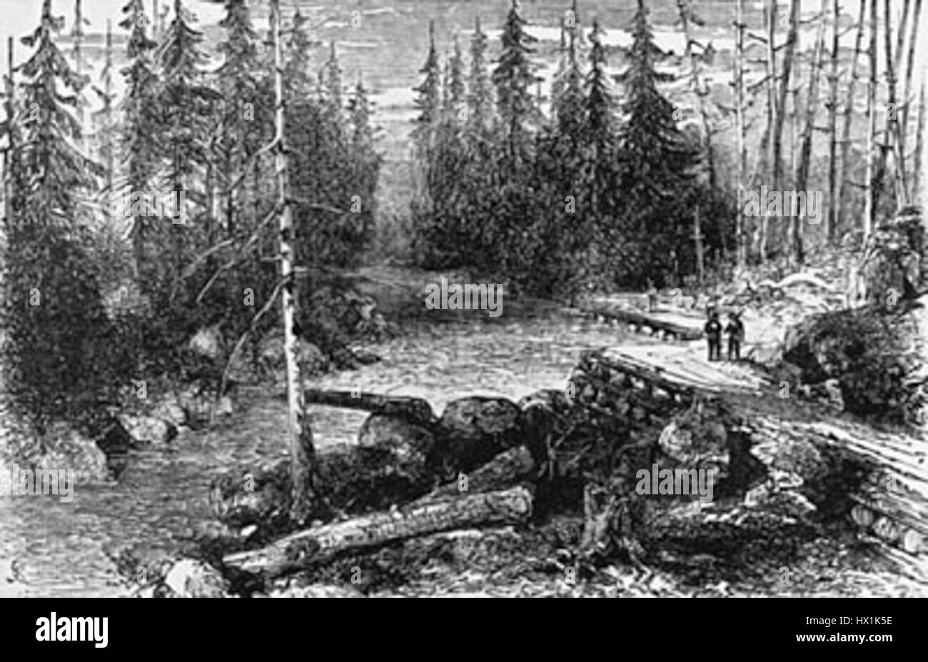 This historical image from 1870 of Dawson Road in Canada captures a ...