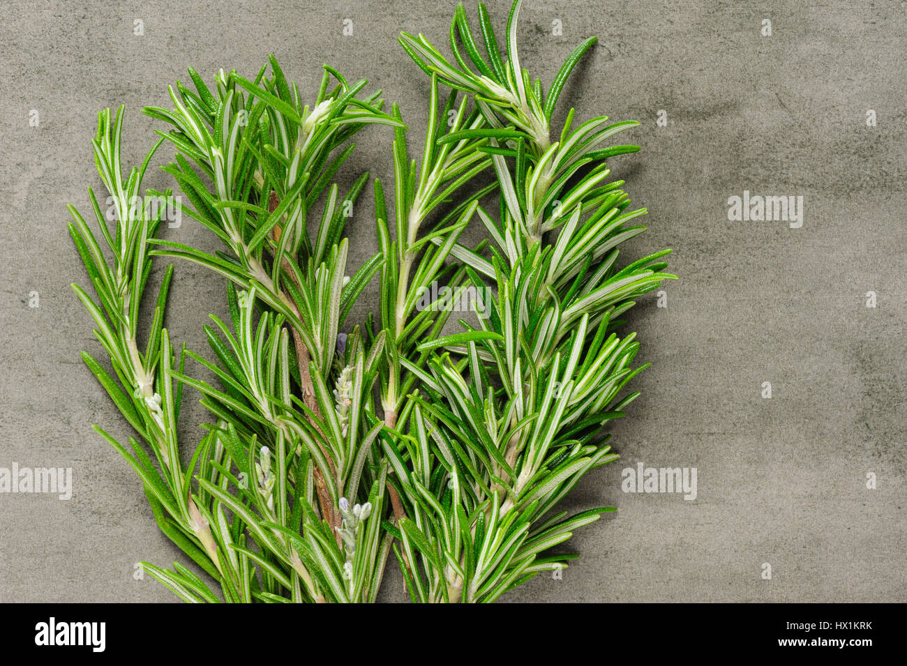 Rosemary texture hi-res stock photography and images - Alamy