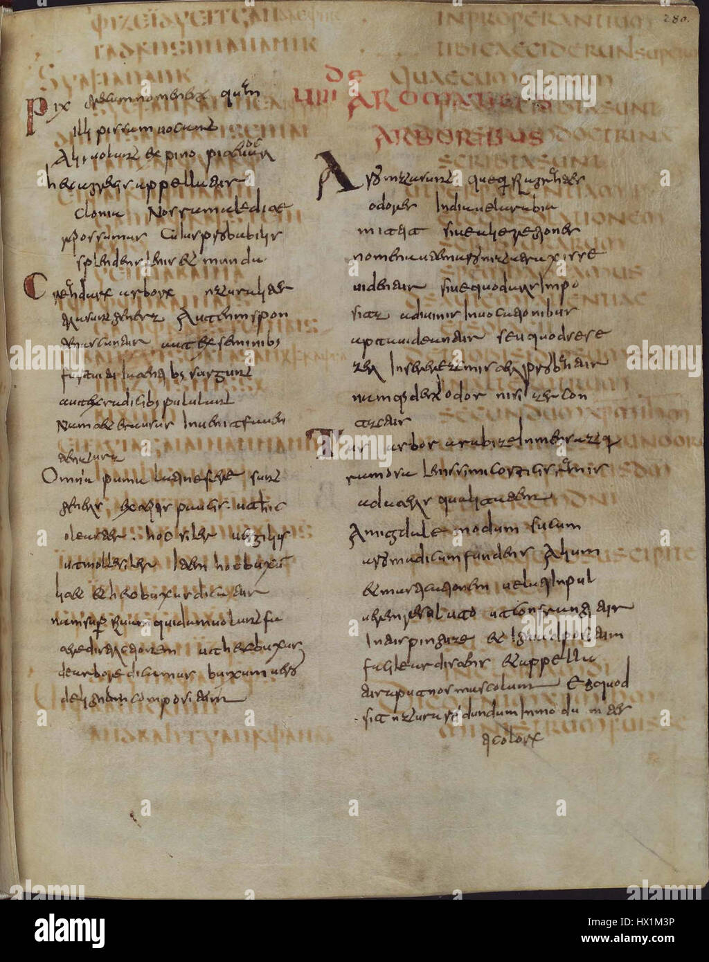 Recto latin text hi-res stock photography and images - Alamy