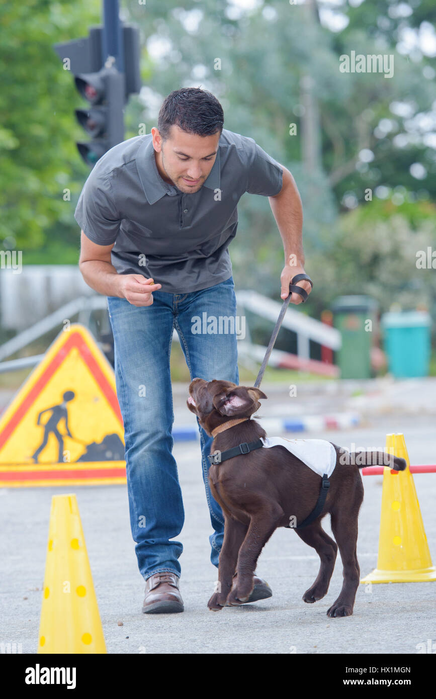 Man training energetic dog Stock Photo - Alamy