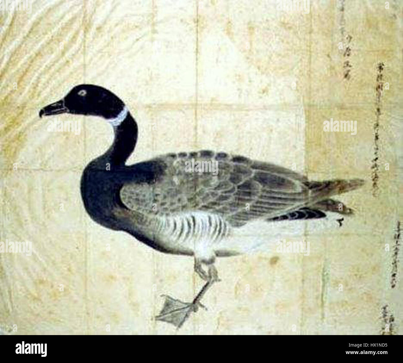 *Escola japonesa Pato* refers to a Japanese painting depicting a duck ...