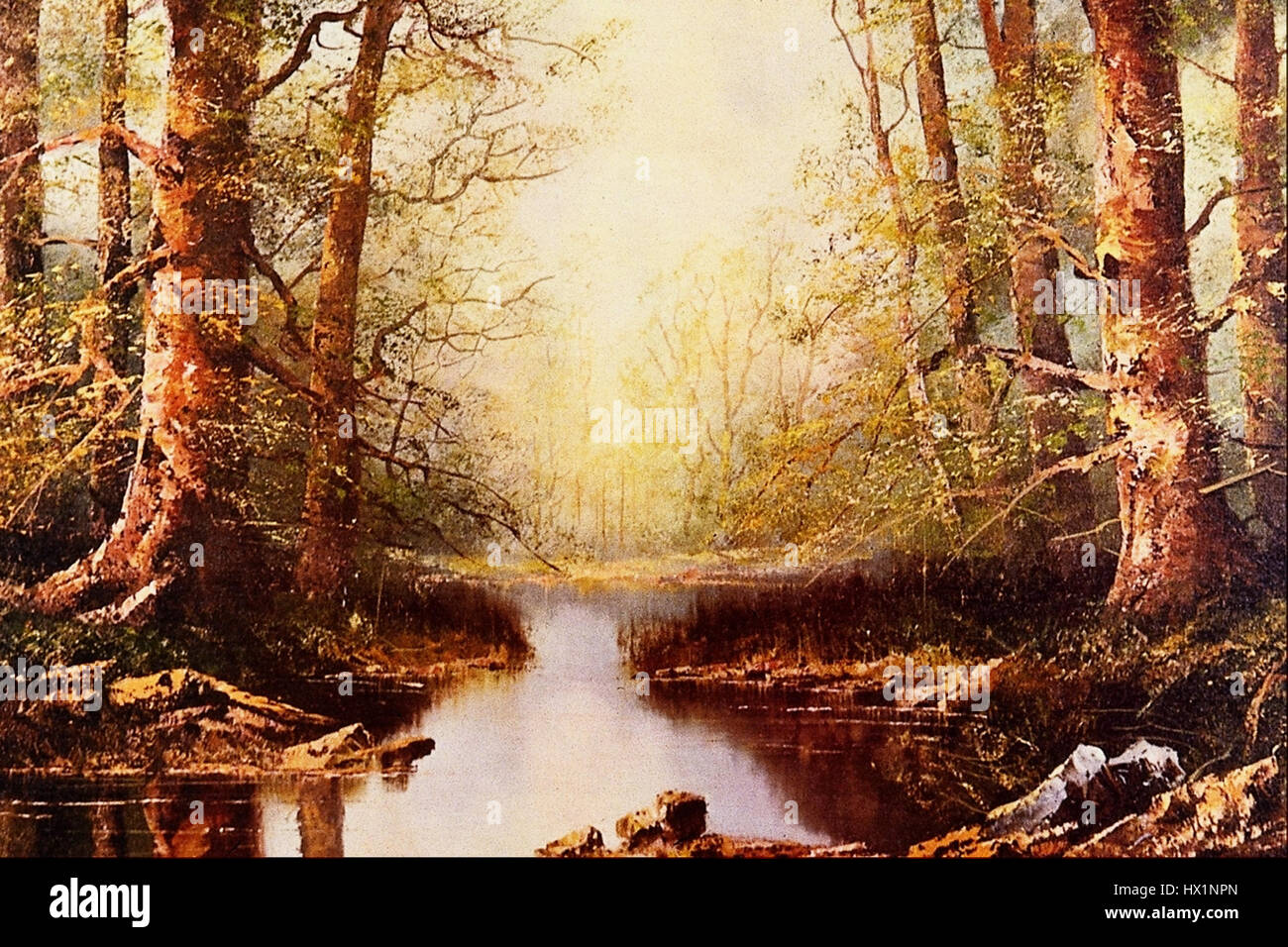 Forest Scene Jan van de Heyden Stock Photo - Alamy