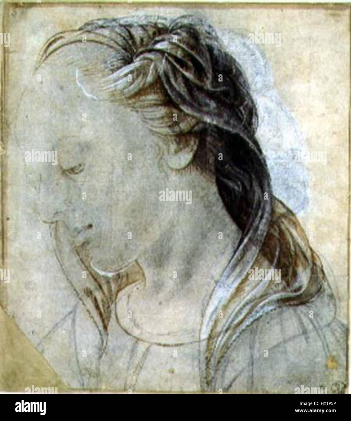 A detailed study of a female head, focusing on the facial features and ...