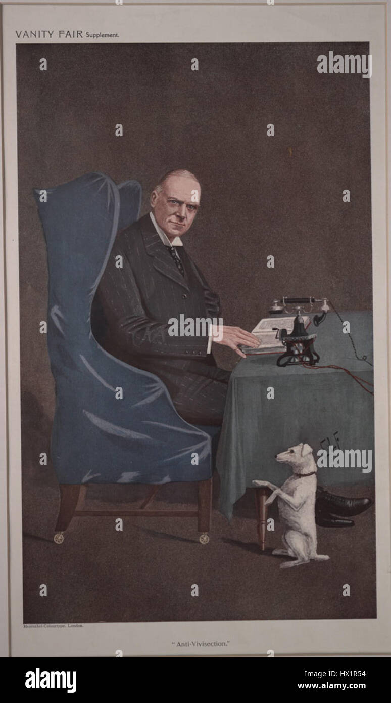 Stephen Coleridge, Vanity Fair, 1910 07 27 Stock Photo - Alamy