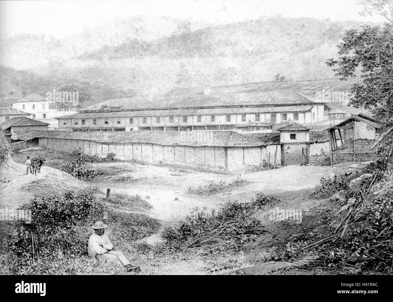 Coffee brazil 19th century hi-res stock photography and images - Alamy