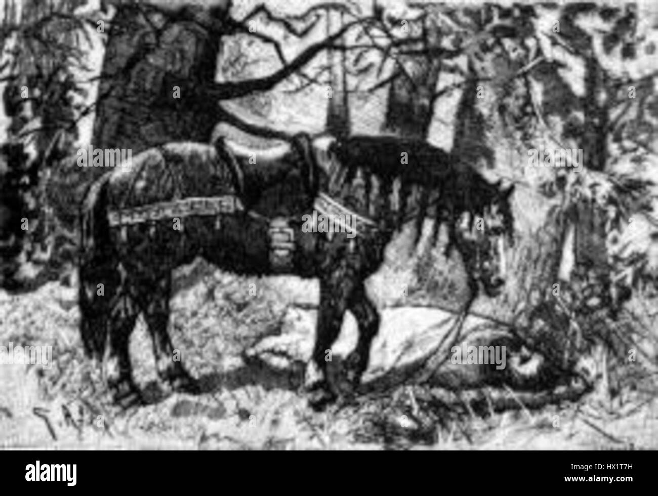 Ed003693200 appears to be a code or identifier, possibly for a specific item or collection ...