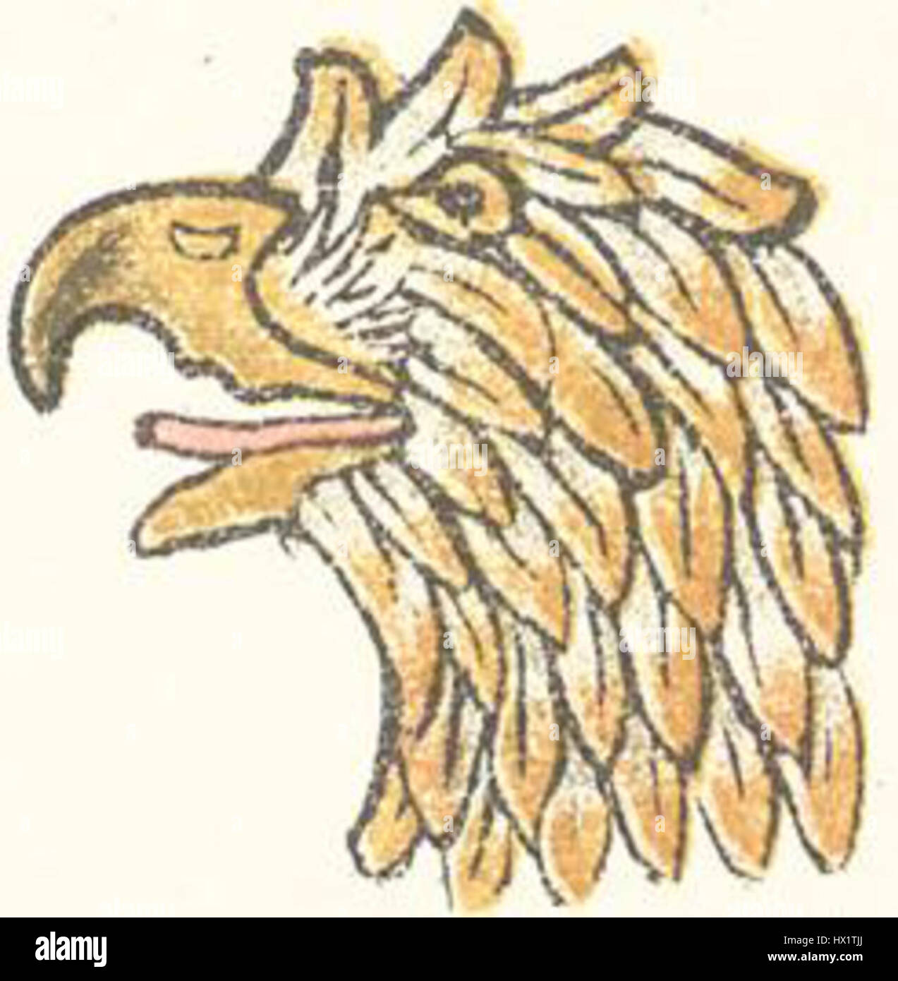 Cuauhtli, meaning 'eagle' in Nahuatl, was a symbol of strength and ...