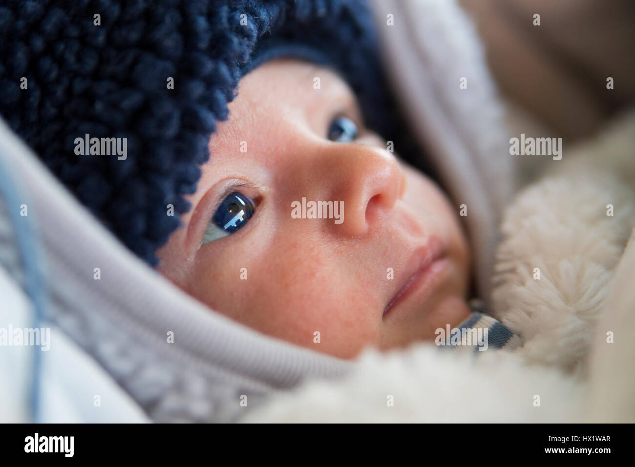 Cute baby boy Stock Photo - Alamy