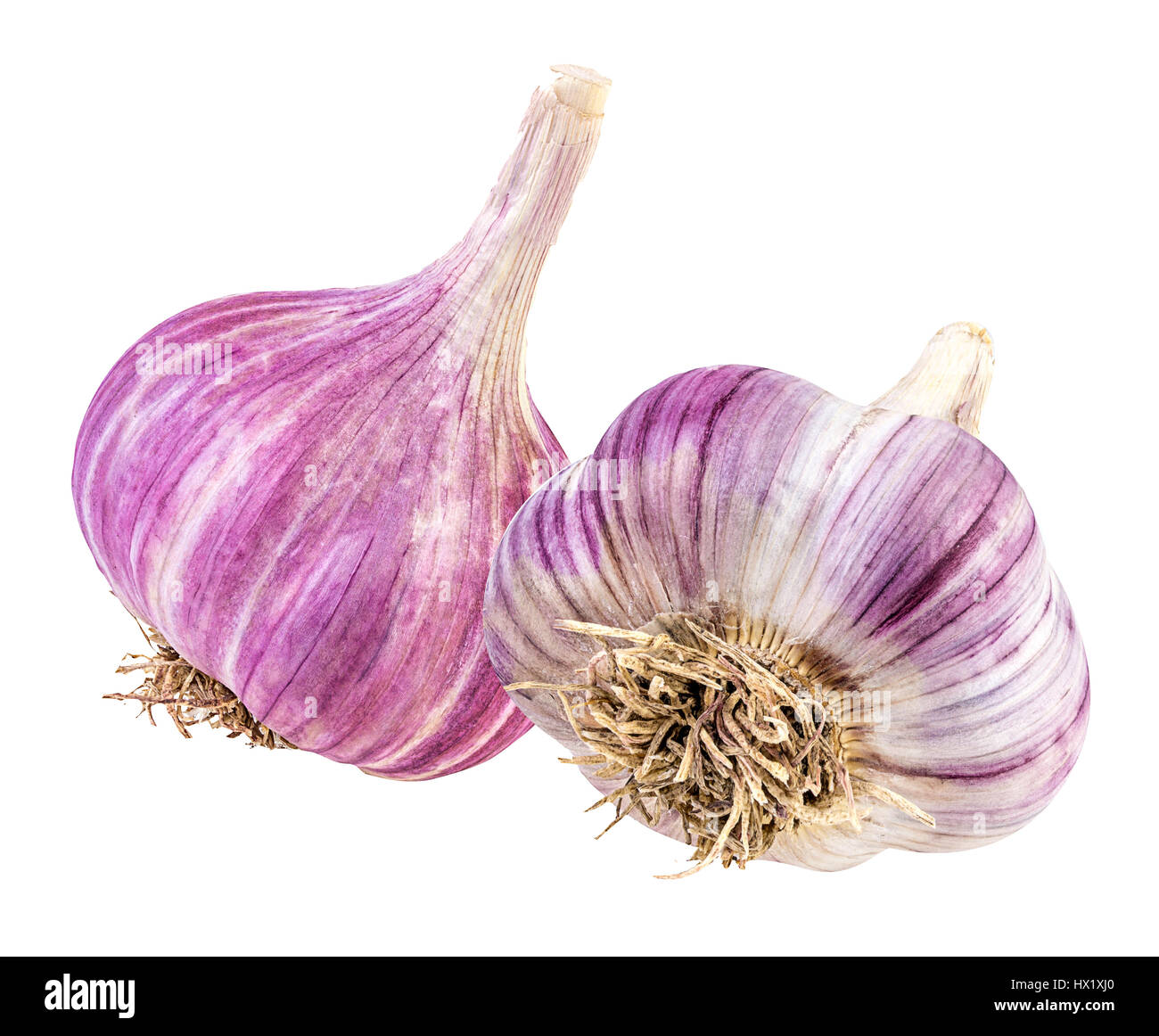 garlic isolated on white background Stock Photo - Alamy