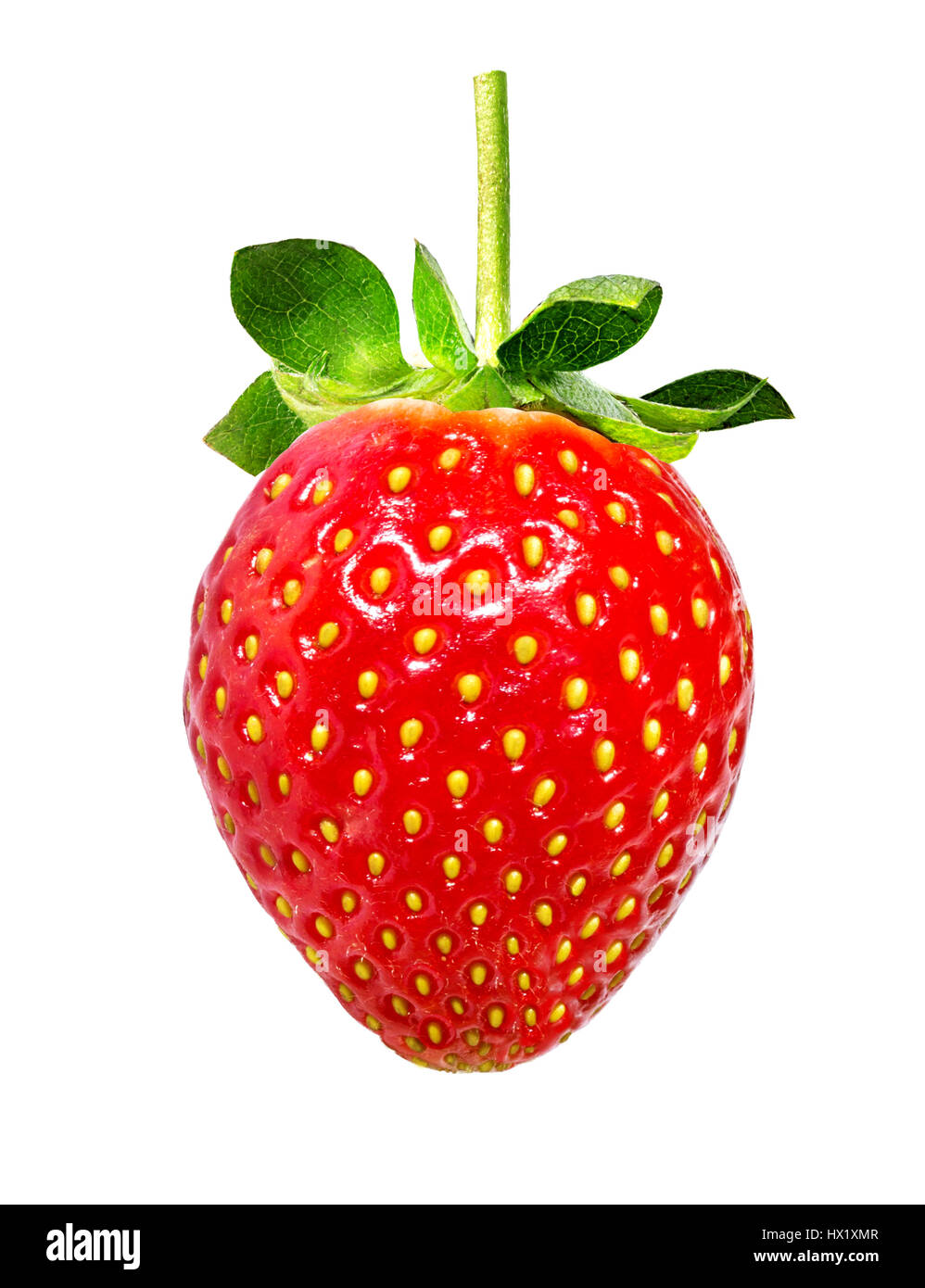 Strawberry on white background Stock Photo - Alamy