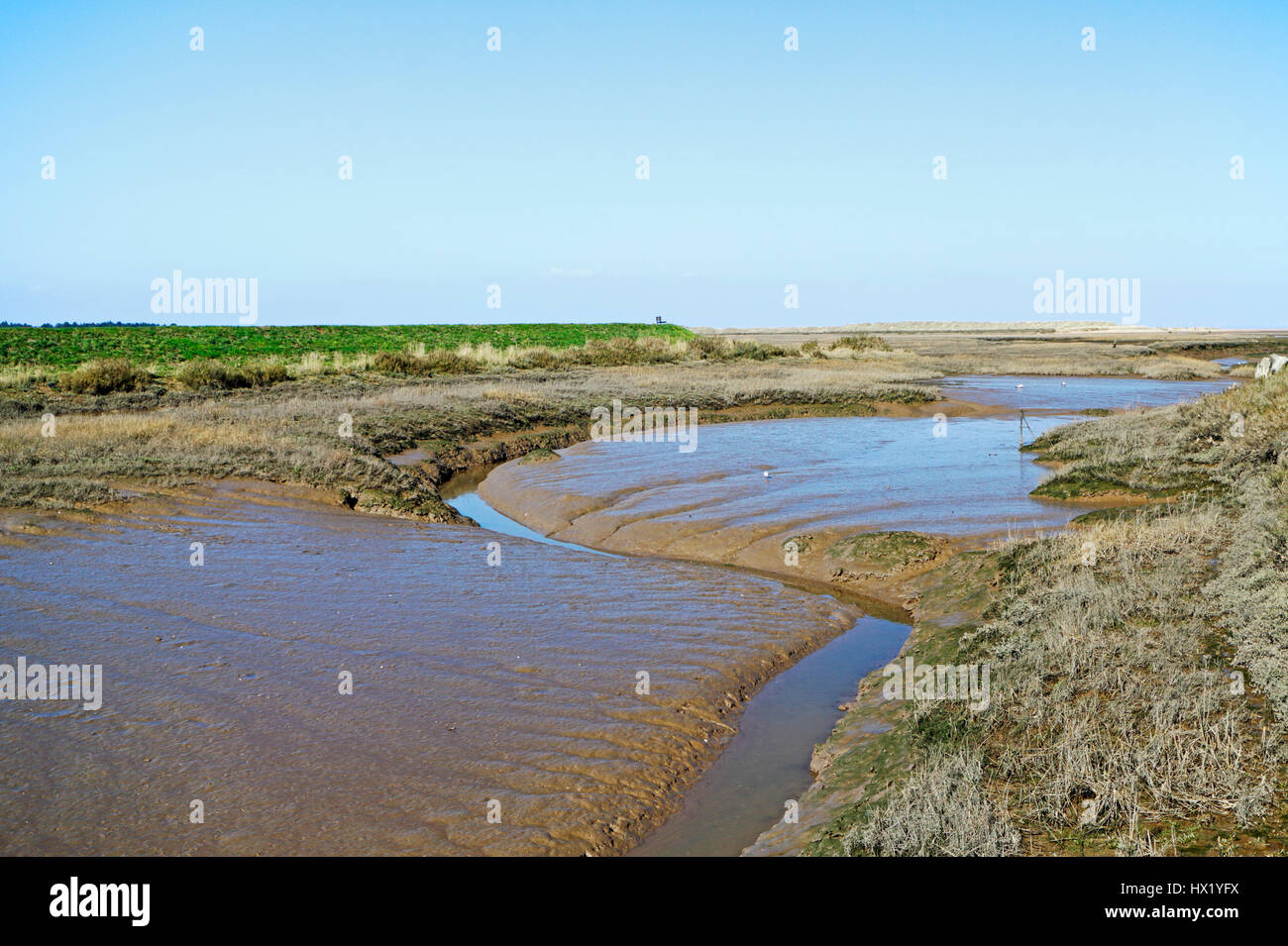 A view of a creek in salt marshes at low tide in North Norfolk at ...