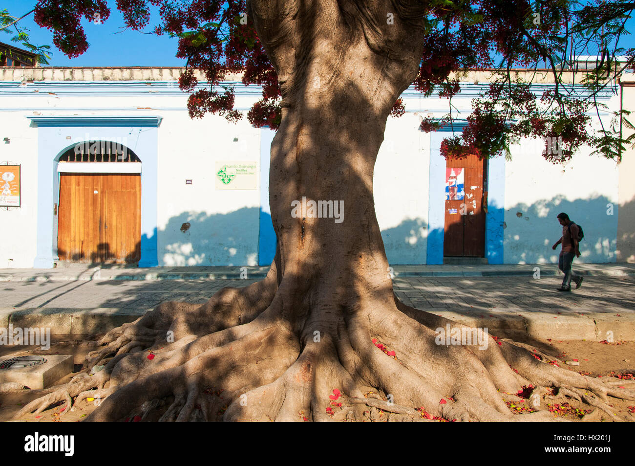 Mexico colonial architecture hi-res stock photography and images - Alamy
