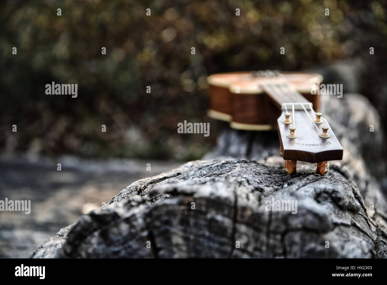 Portuguese traditional musical instrument Ukulele Stock Photo - Alamy