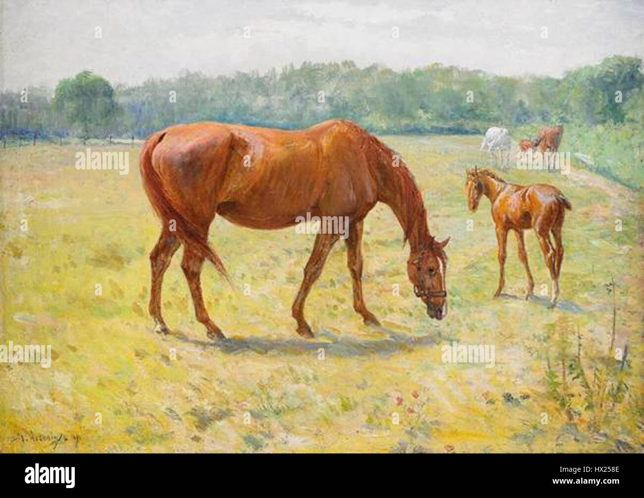 Karl Georg Arsenius 1894 Stock Photo - Alamy
